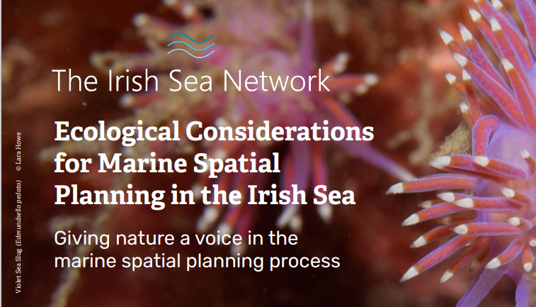Irish Sea Network – Marine Planning Report - Cumbria Local Nature ...